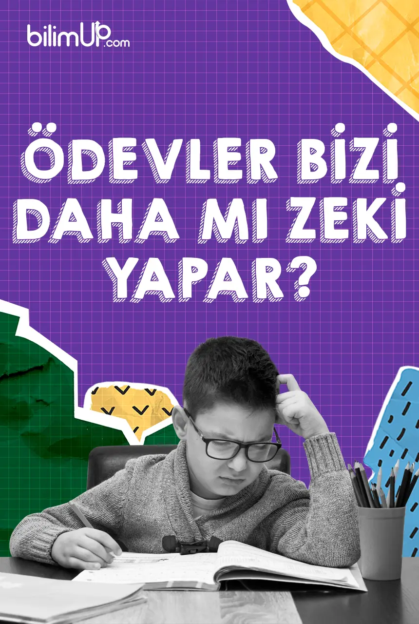 Ödevler Bizi Daha Mı Zeki Yapar? - bilimUP Ödevler Bizi Daha Mı Zeki Yapar? - bilimUP