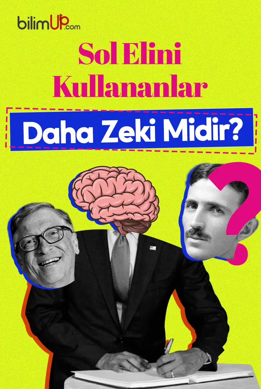 Sol Elini Kullananlar Daha Zeki Midir? - bilimUP Sol Elini Kullananlar Daha Zeki Midir? - bilimUP